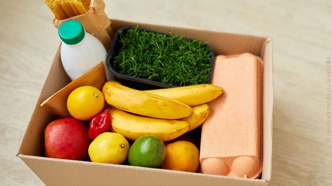 Die Tafeln und das Foodsharing: Initiativen die helfen